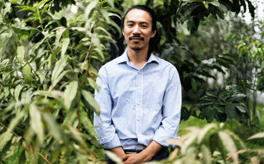 Pedro Wong: el cannabis y su uso medicinal. - Revista Leonardo