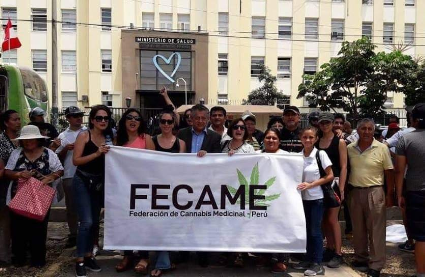 Pedro Wong: el cannabis y su uso medicinal. - Revista Leonardo